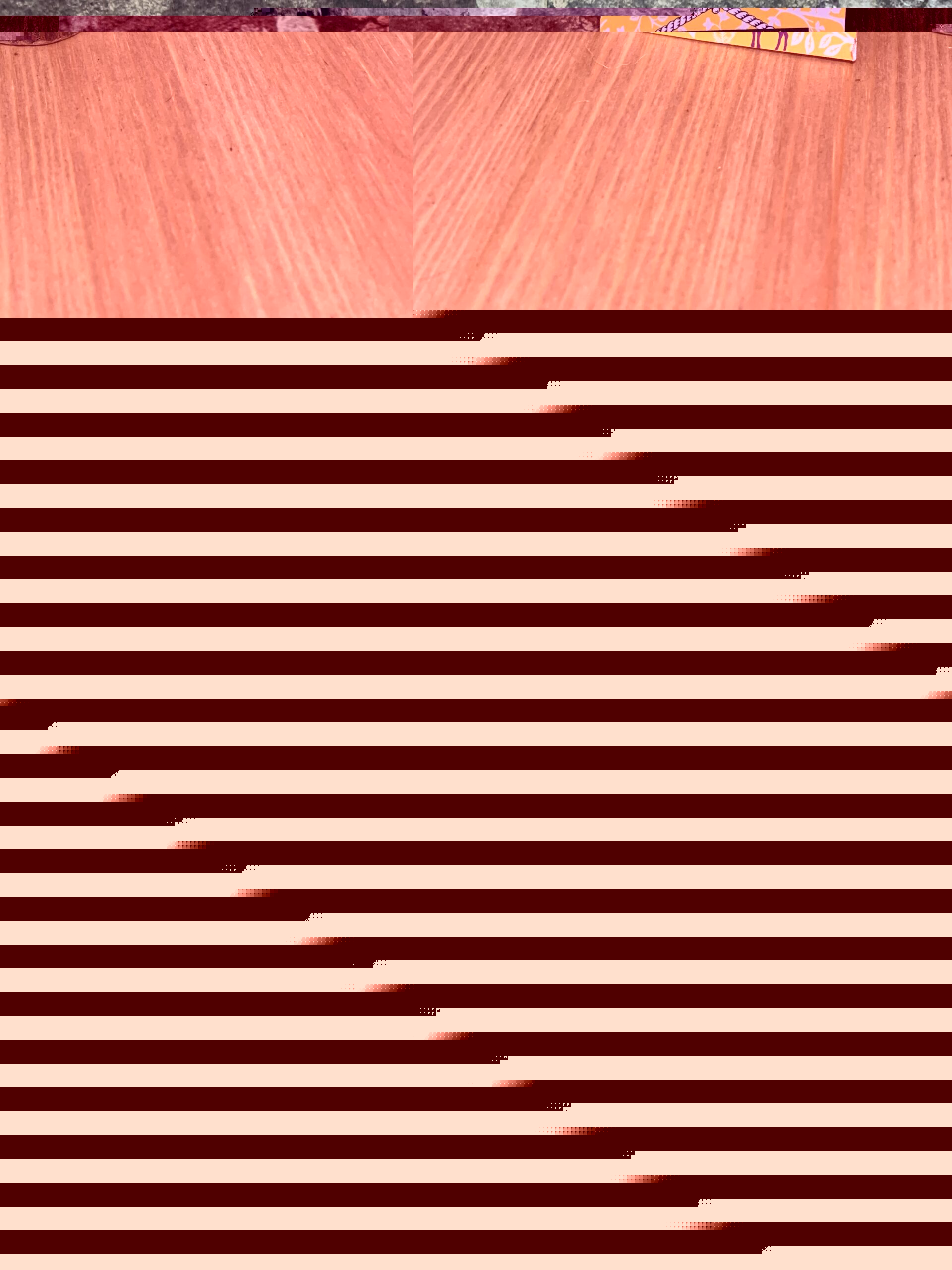 Premium Antler Dog Chew - Rachel's Dog Club